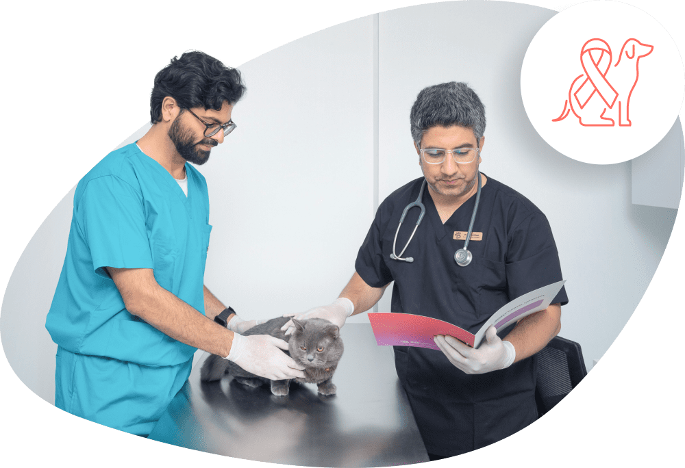 Advanced facilities,Expert care|Small Animal Hospital Mumbai