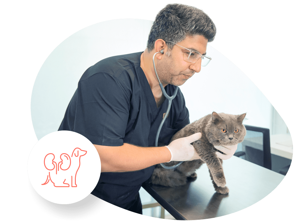 Advanced facilities,Expert care|Small Animal Hospital Mumbai