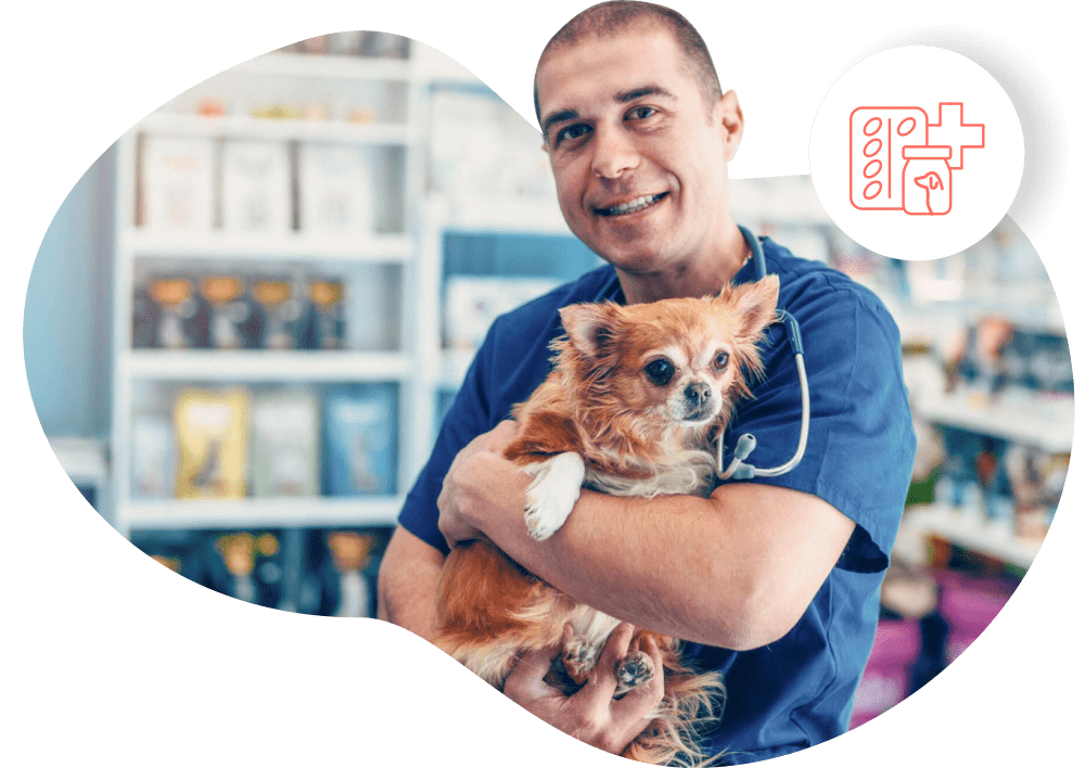 Advanced facilities,Expert care|Small Animal Hospital Mumbai